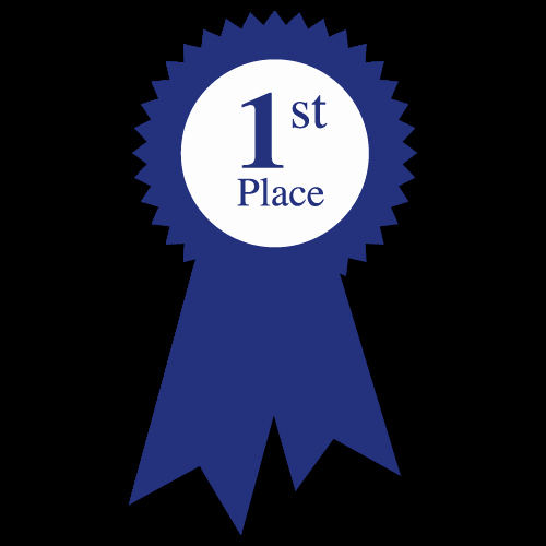  20 1st 2nd 3rd Place Certificate Template Dannybarrantes Template