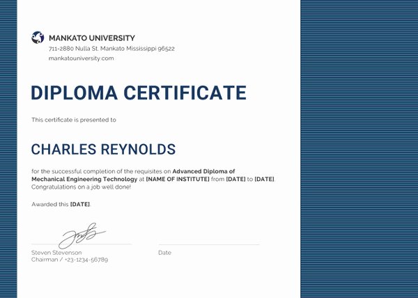  20 Award Certificate Template Google Docs Dannybarrantes Template