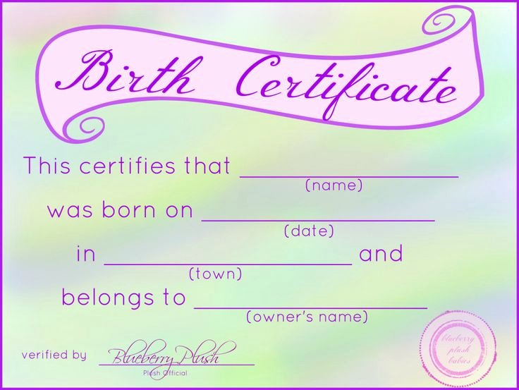  20 Create A Birth Certificate For School Project Dannybarrantes Template